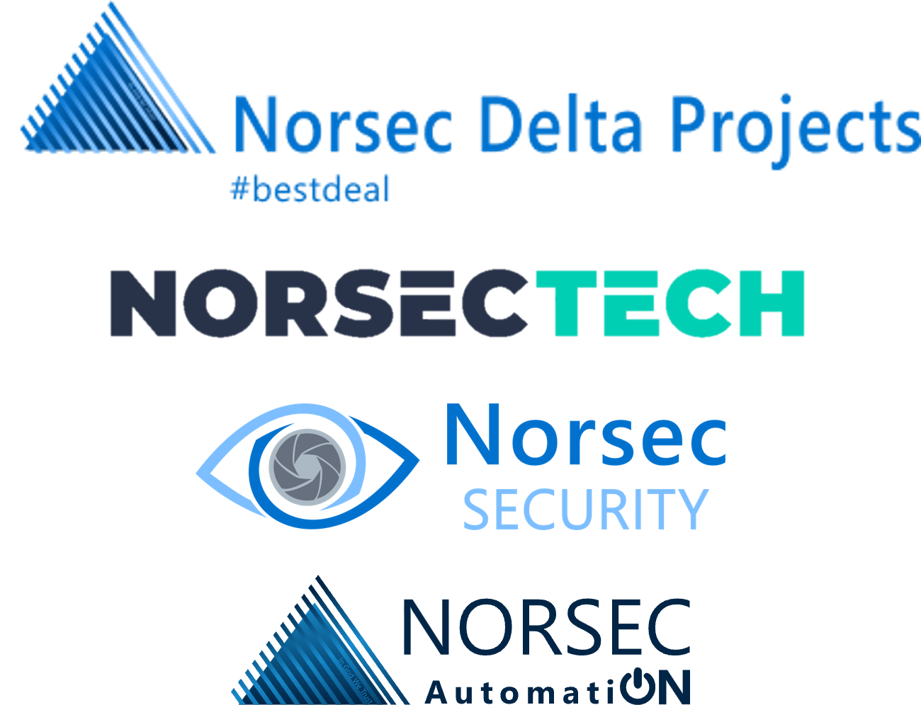 About Company | norsec.kz